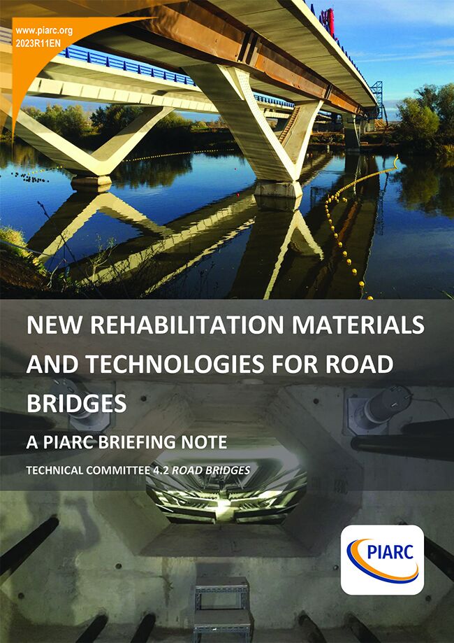 Detail of a publication | Virtual Library of PIARC | New Rehabilitation Materials and ...